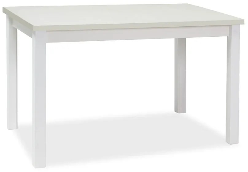 MAXIVA Jídelní stůl - ADAM, 100x60, bílá