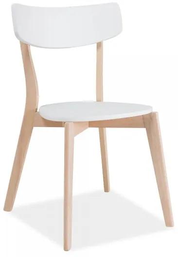 Jídelní židle Tibi / dub a bílá