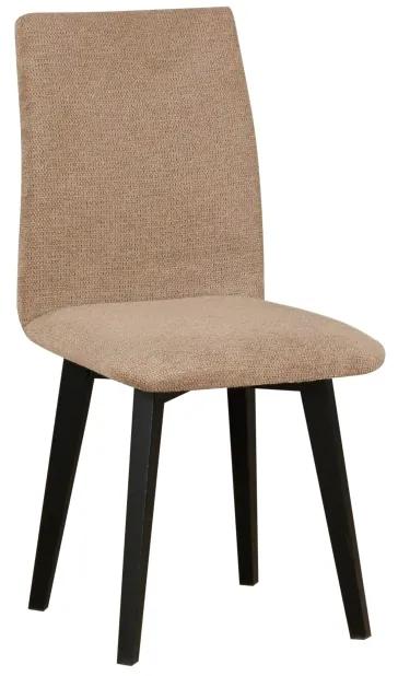 Jídelní židle Lexia 2 Zvolte dřevo: Černá, Zvolte látku: látka 12b