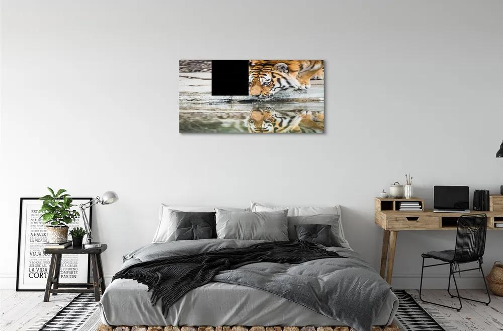 Obrazy na plátně tiger pití 125x50 cm
