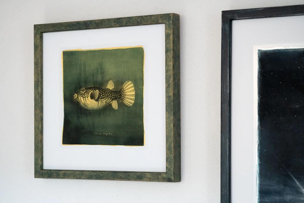 Zlatá rybka III. - pigmentový tisk 1/30 - 36 x 36 cm / s rámem