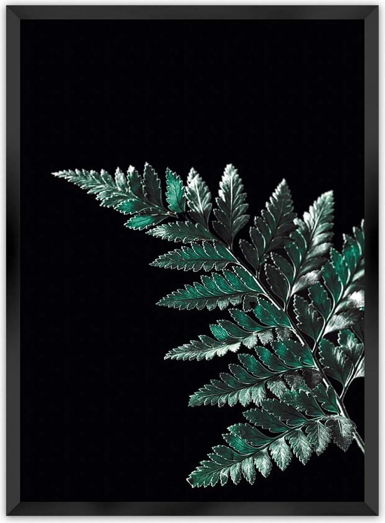 Plakát Dark Fern Leaf
