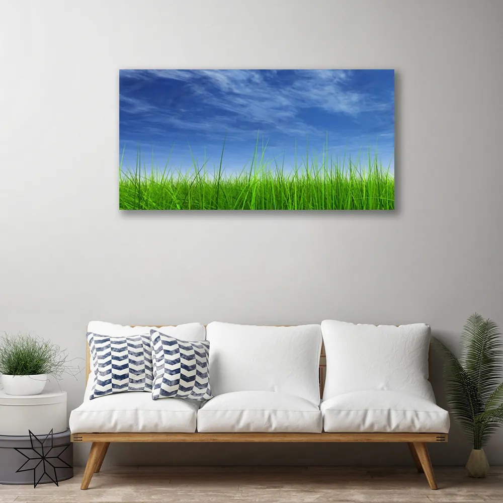 Obraz na plátně Nebe Tráva Příroda 100x50 cm