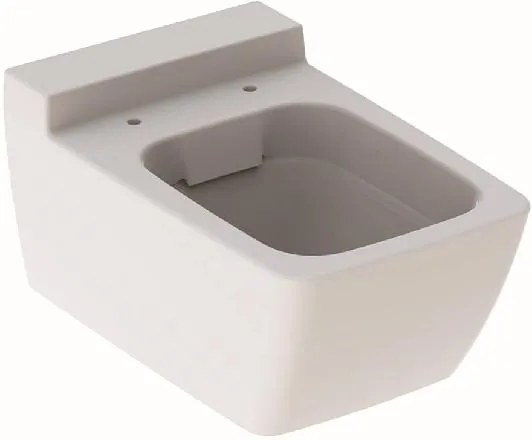 Geberit Xeno 2 - Závěsné WC, 540x350 mm, Rimfree, bílá 500.500.01.1