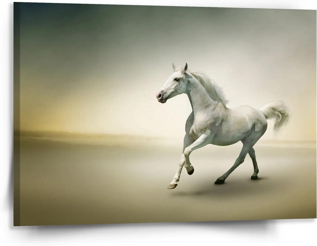 Obraz - Bílý kůň 2 150x110 cm