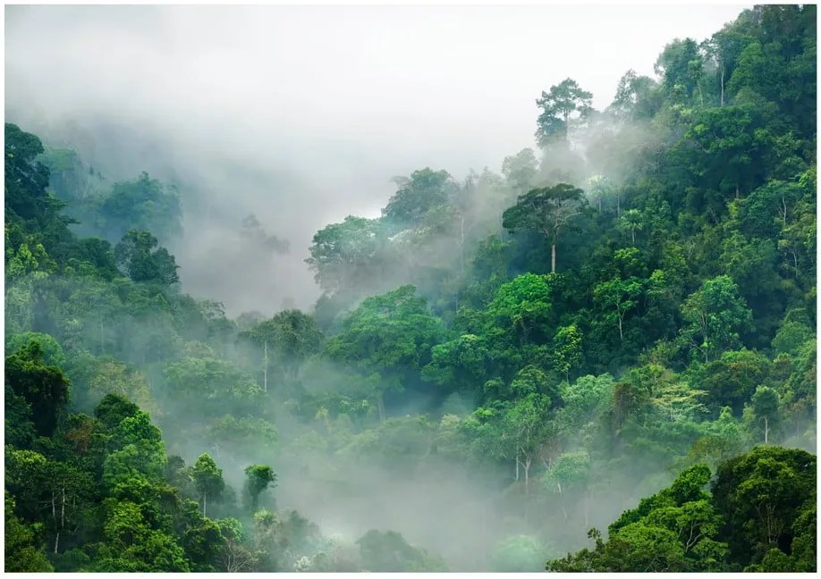 Velkoformátová tapeta Bimago Morning Fog, 400 x 280 cm