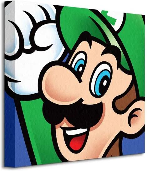 Obraz na plátně Nintendo Super Mario (Luigi) 40x40cm WDC95442