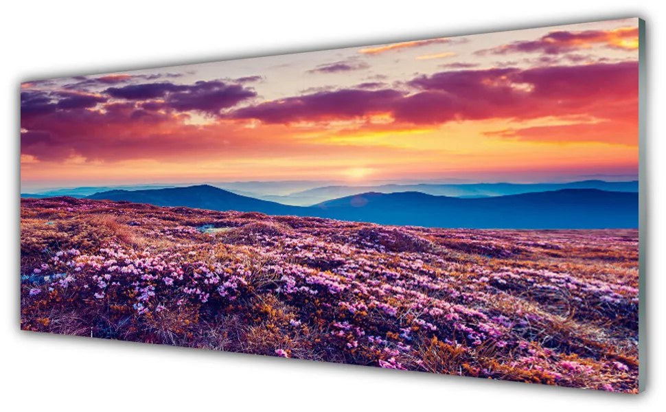 akrylový obraz Louka Hory Květiny Příroda 125x50 cm