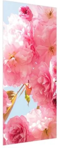 Samolepící fólie na dveře Růžové květy jabloně 95x205cm ND4789A_1GV