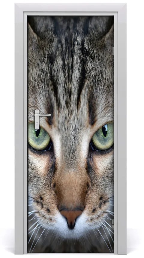 Samolepící fototapeta na dveře Oči kočky 75x205 cm
