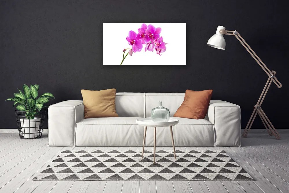 Obraz na plátně Vstavač Květ Orchidej 100x50 cm