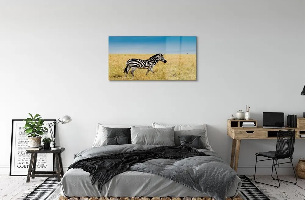 Obraz na skle Zebra box 120x60 cm