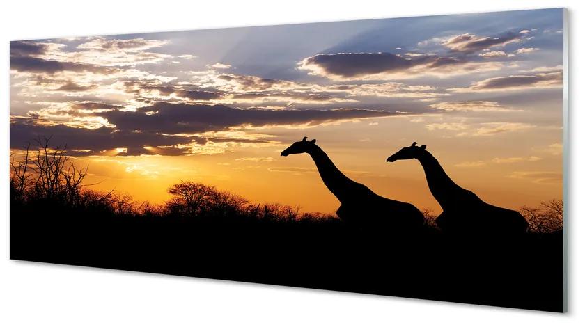 akrylový obraz Žirafy strom mraky 120x60 cm