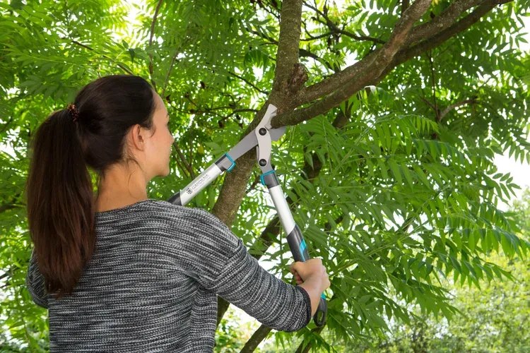 © 2024 - 2025 GARDENA Nůžky na větve EnergyCut 600 B