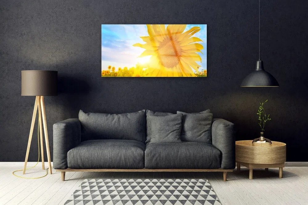 Obraz na skle Slunečnice Květ Slunce 125x50 cm