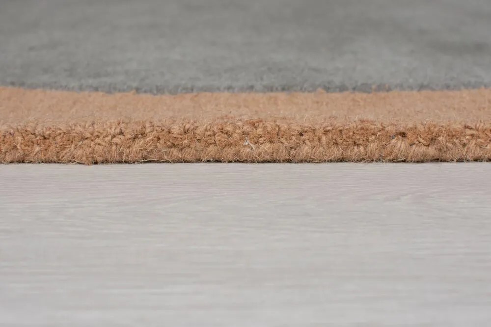 Flair Rugs, Kusový koberec Moderno Esre Multi, 160x230, vícebarevná, obývací pokoj