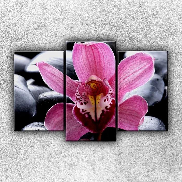 3 dílný obraz na stěnu Fialková orchidej 2