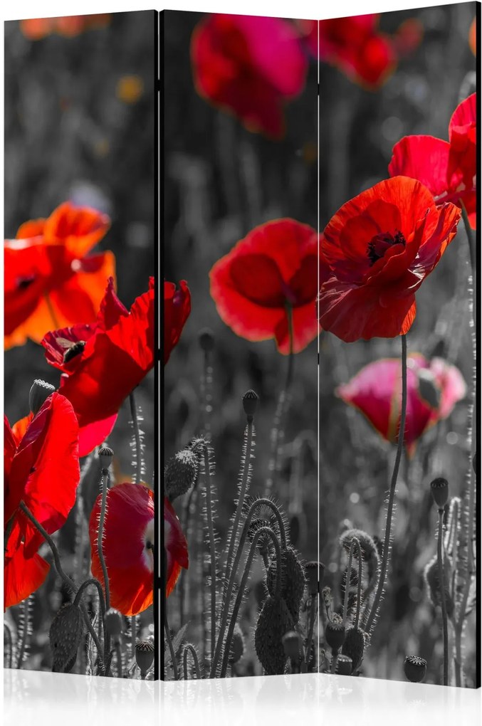 Paraván - Red Poppies [Room Dividers] 135x172
