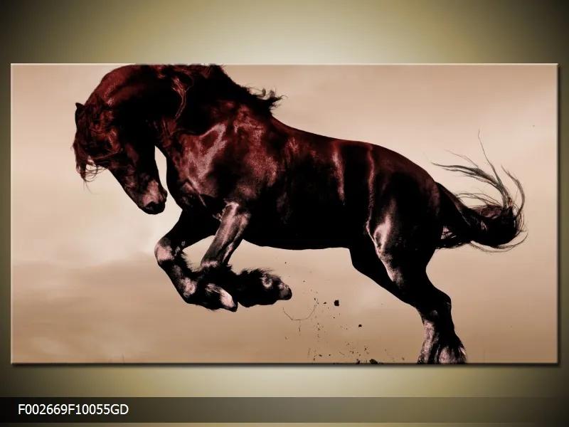 Obraz divokého koně  (), 40 dalších rozměrů