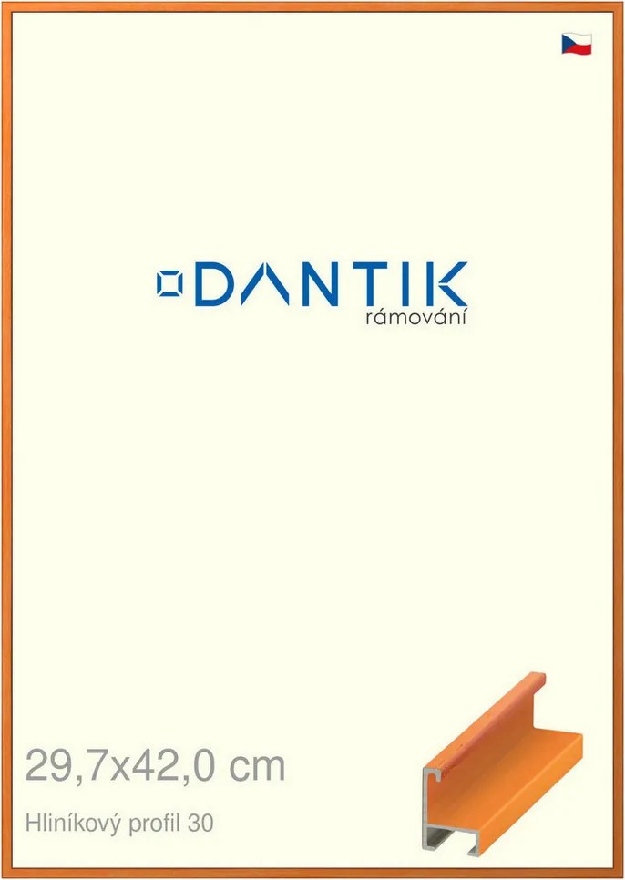 DANTIK rámeček 29,7x42 | ALU profil 6030 Dýha barevná oranžová (Plexi Čiré)