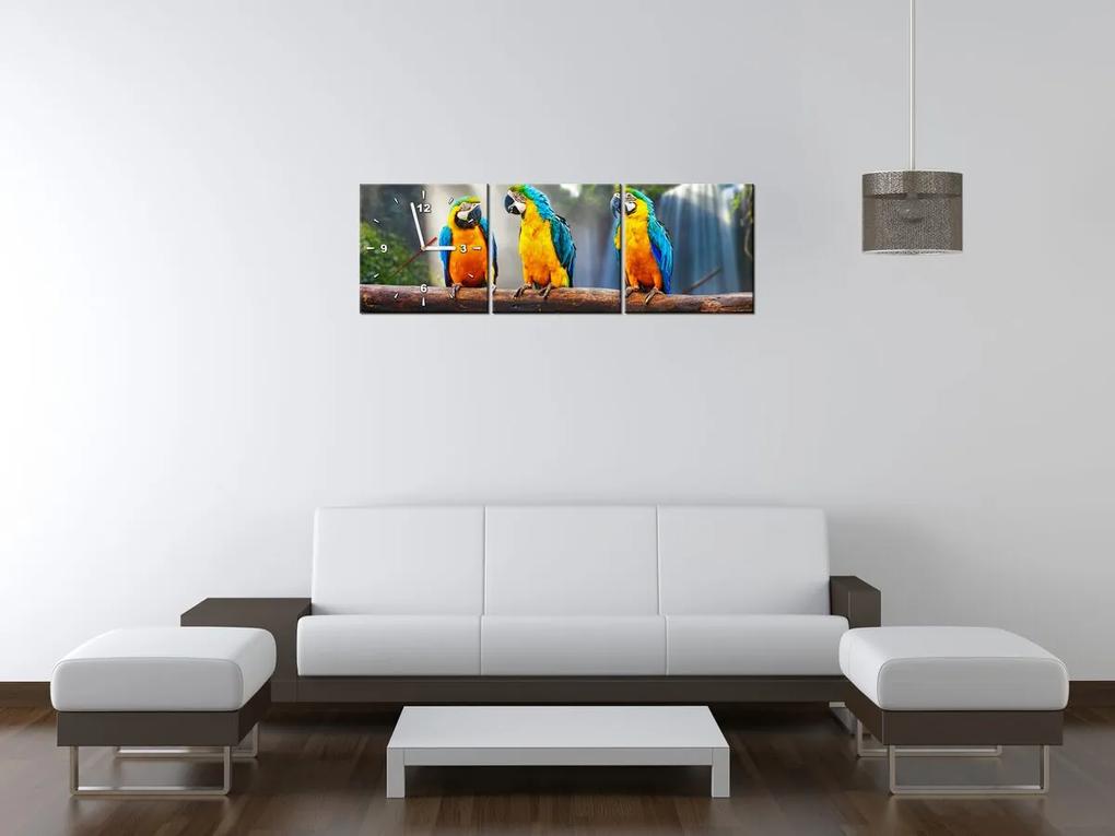 Gario Obraz s hodinami Barevní papoušci - 3 dílný Rozměry: 80 x 40 cm