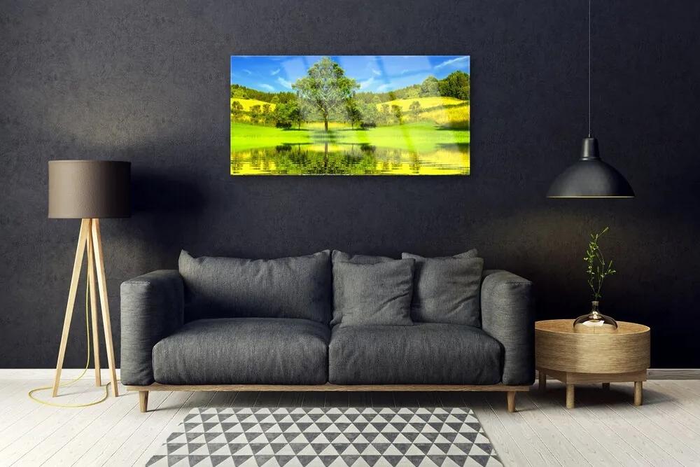 Obraz na skle Louka Strom Příroda 100x50 cm