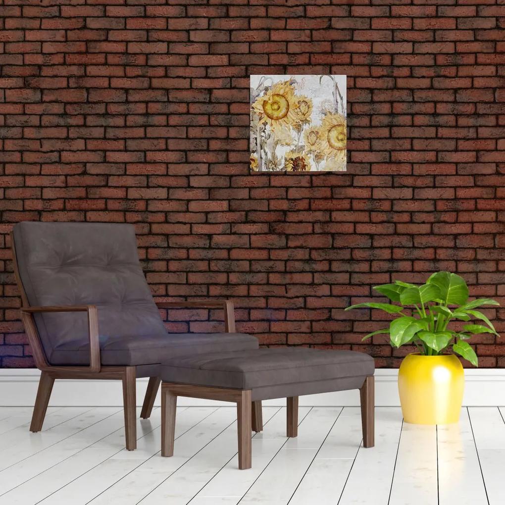 Obraz - Slunečnice ve zdi (30x30 cm)