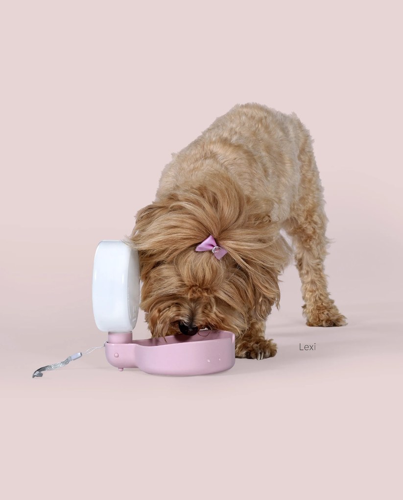 United Pets Cestovní láhev pro psy PINGUI růžová 250 ml