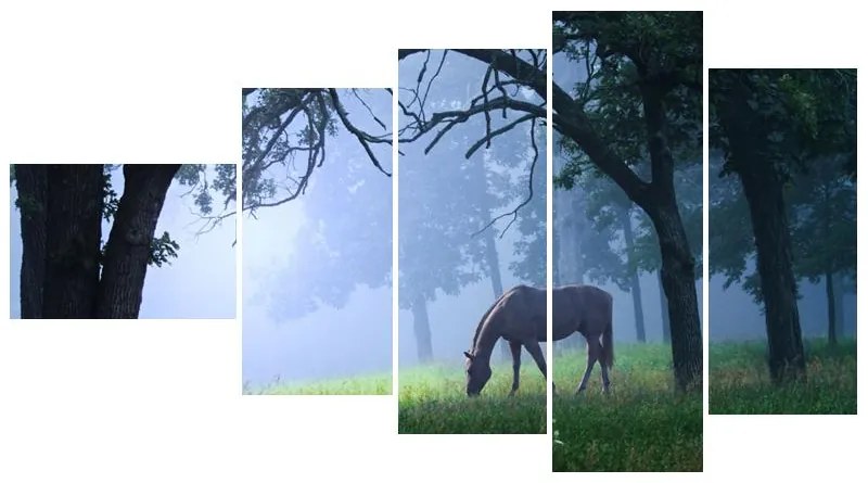 Obraz koně v přírodě (110x60 cm), 40 dalších rozměrů
