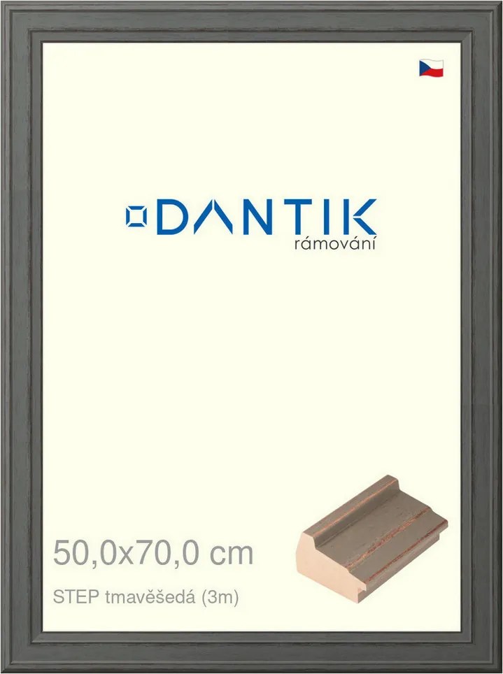 DANTIK rámeček 50x70 | STEP tmavěšedá (Plexi Čiré)