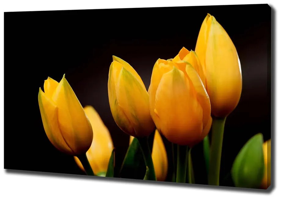 Wallmuralia Foto obraz na plátně Žluté tulipány 100x70 cm