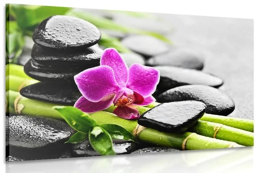 Obraz Spa zátiší s fialovou orchidejí Varianta: 90x60