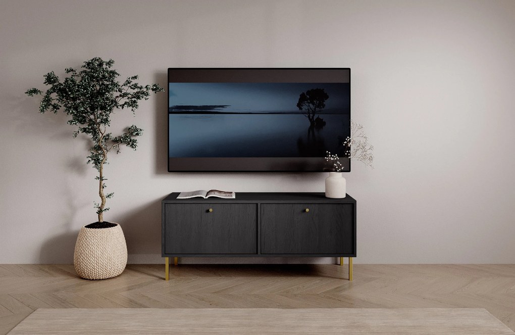 ADRK Furniture TV skříňka 2D Tili ADRK-RTV-TIL-2D-B