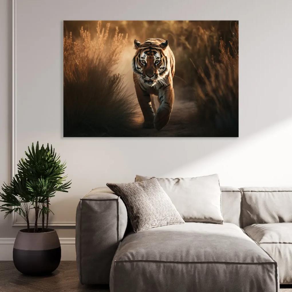 Obraz na plátně - Tygr běžící savanou FeelHappy.cz Velikost obrazu: 120 x 80 cm
