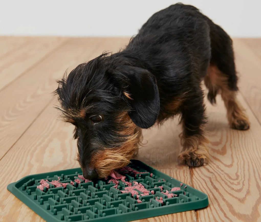 Tchibo - Lízací podložka - barva: zelená