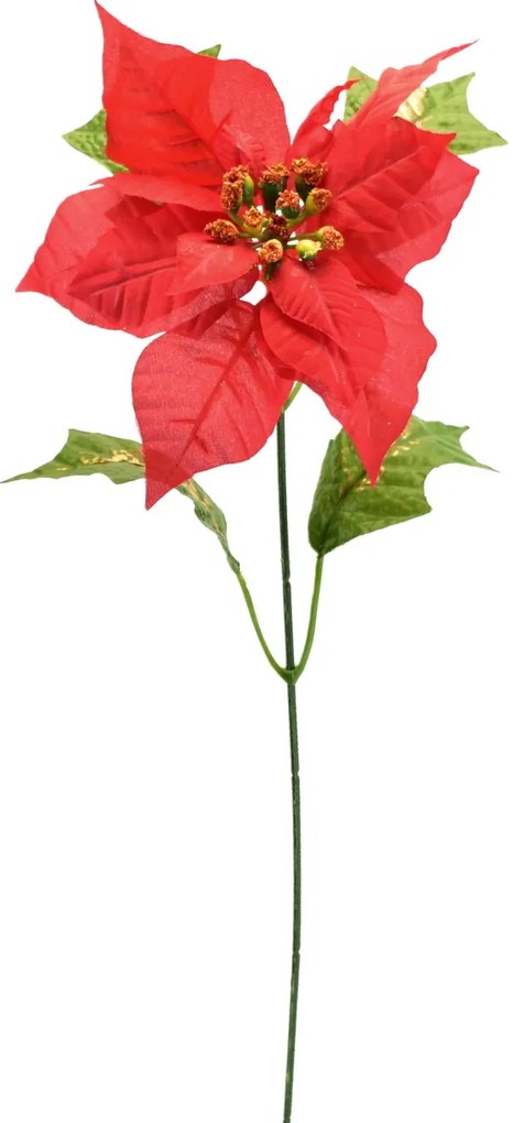 Poinsetie červená 55 cm