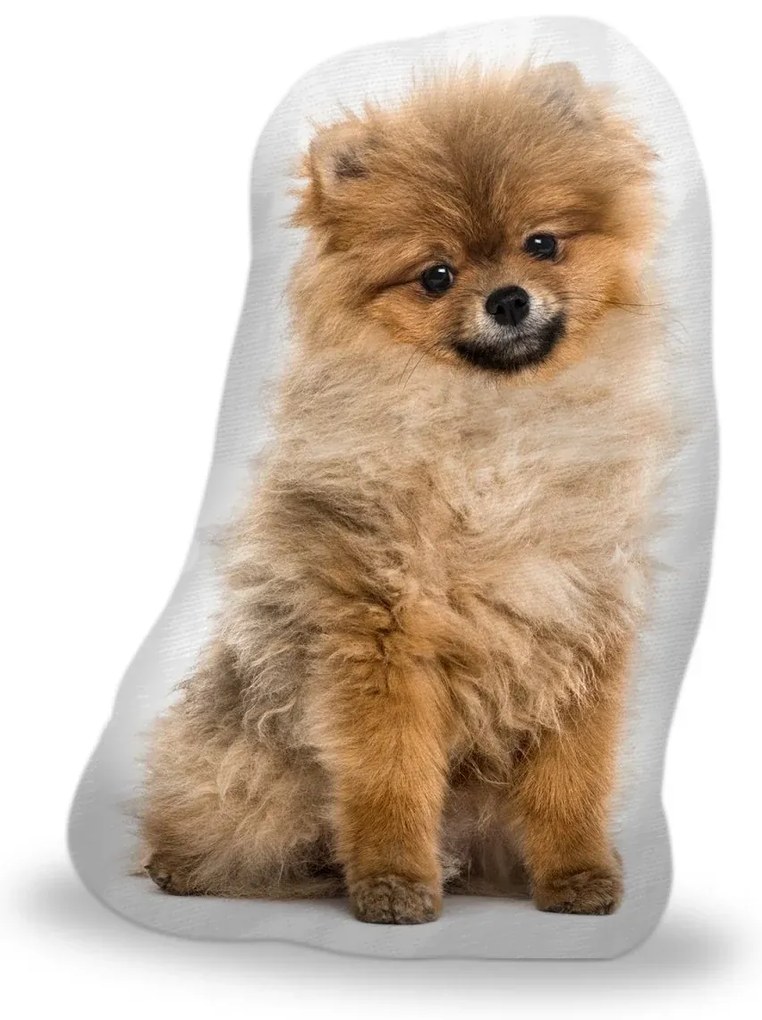 Sablio 3D polštář ve tvaru Pomeranian