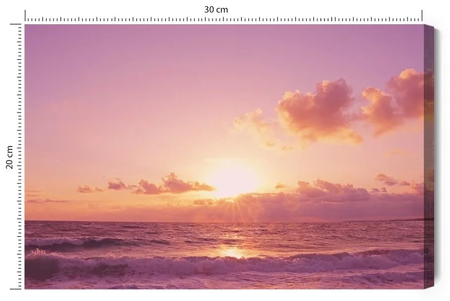Obraz Růžová Mořská Krajina Nedostatek Nedostatek Přírodní plátno 100x70