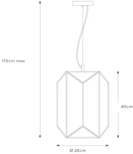 Lucide 25407/01/30 - Lustr na lanku FERN 1xE27/60W/230V