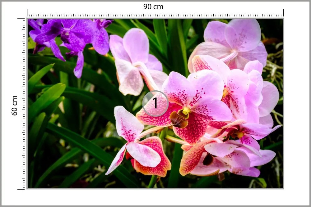 Fototapeta Barevné Orchideje 3D Hladký vinyl 135x90