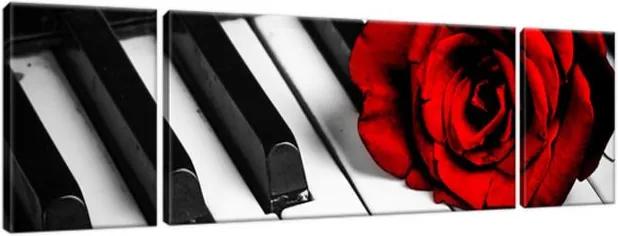 Tištěný obraz Růže na klavír 170x50cm 1229A_3G