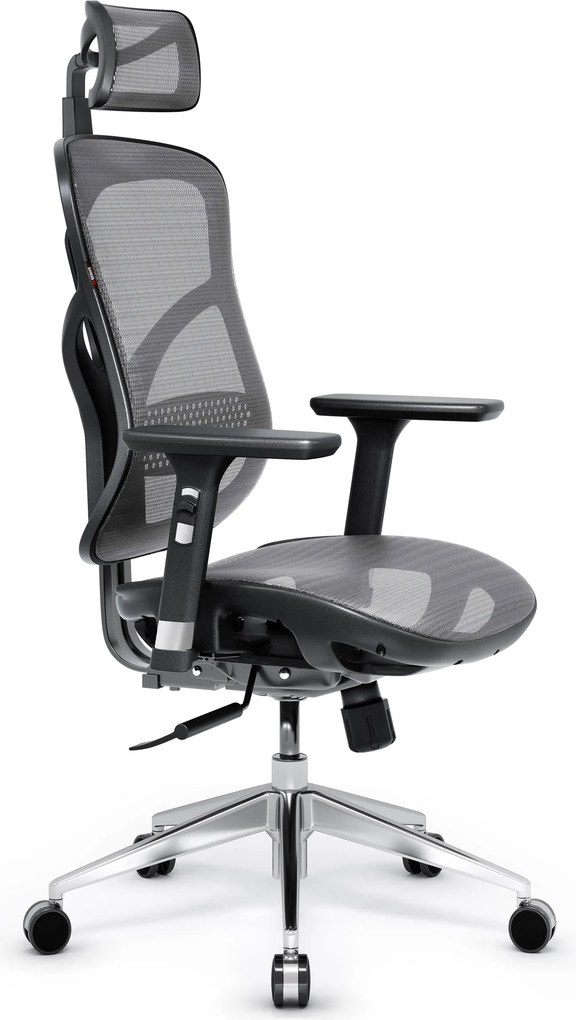 Ergonomická kancelářská židle ze síťoviny, černý-šedý: Diablo V-Basic