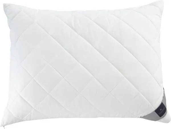 XXXLutz POLŠTÁŘ POD HLAVU, 40/60 cm Billerbeck - Polštáře pod hlavu - 003279065001