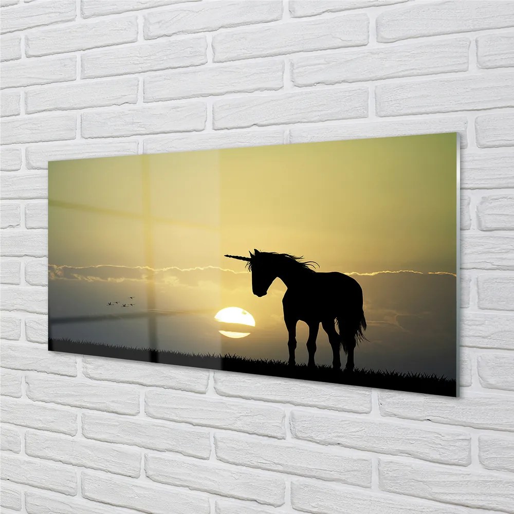 akrylový obraz Pole sunset jednorožec 125x50 cm