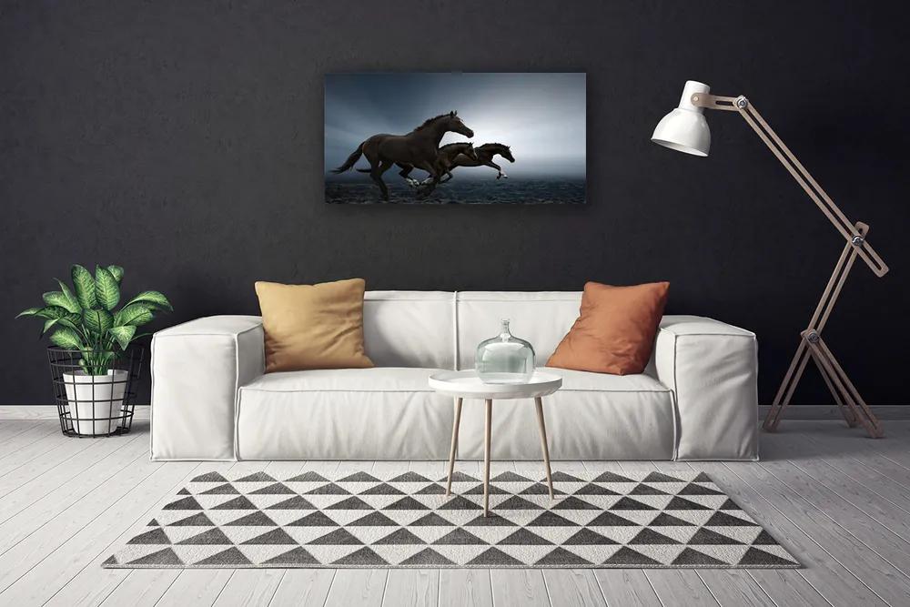 Obraz na plátně Koně Zvířata 125x50 cm