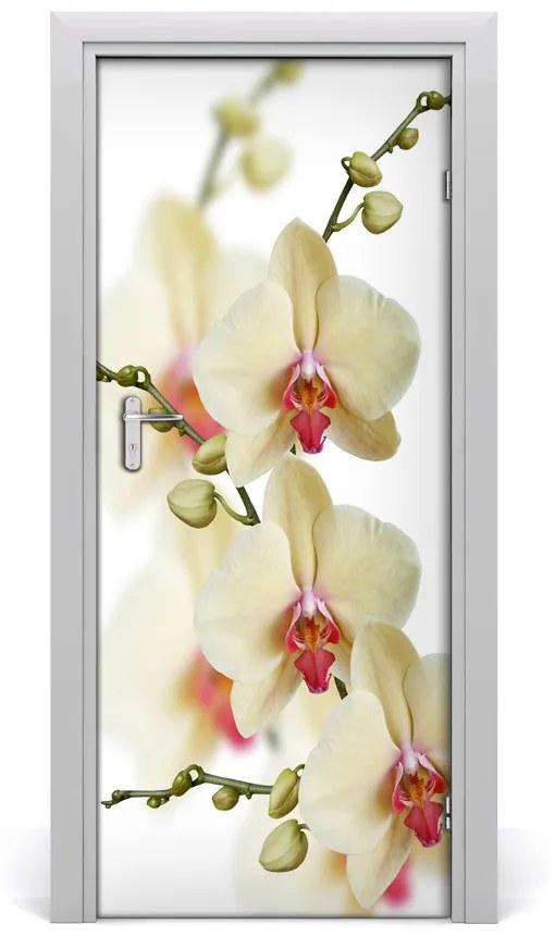 Samolepící fototapeta na dveře Orchidej 75x205 cm