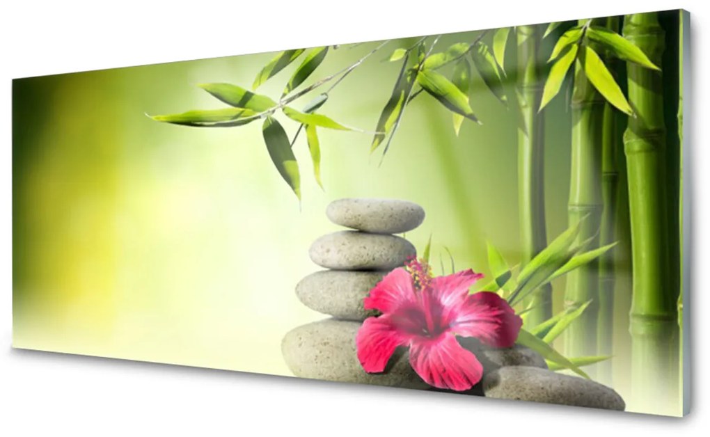 Plexisklo obraz Bambus Květ Kameny Zen
