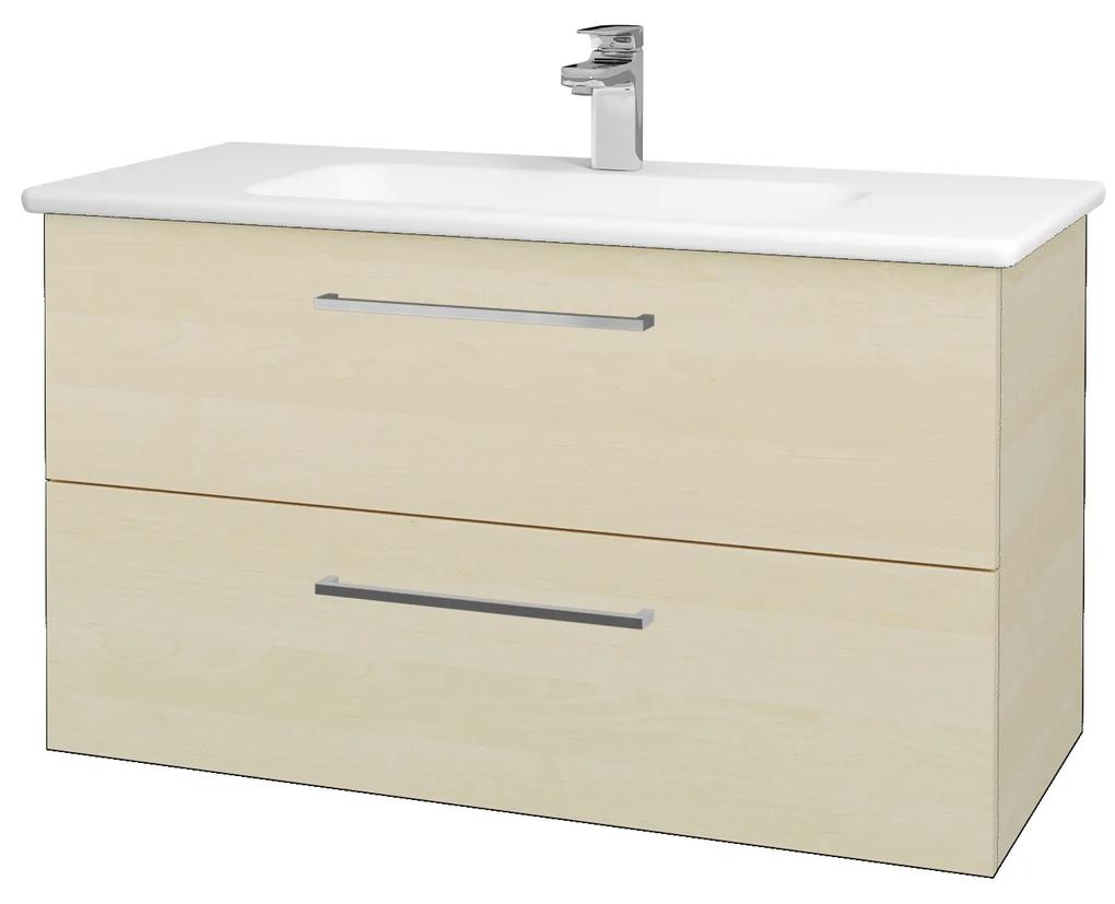 Dřevojas Koupelnová skříň GIO SZZ2 100 Varianta: N01 Bílá lesk / Úchytka T01 / D01 Beton
