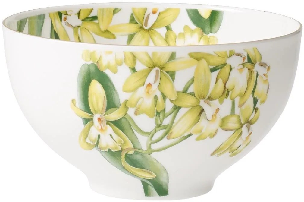 Mísa villeroy & boch amazonia 0,7 l