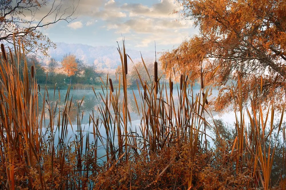 Fototapeta jezero uprostřed podzimní přírody